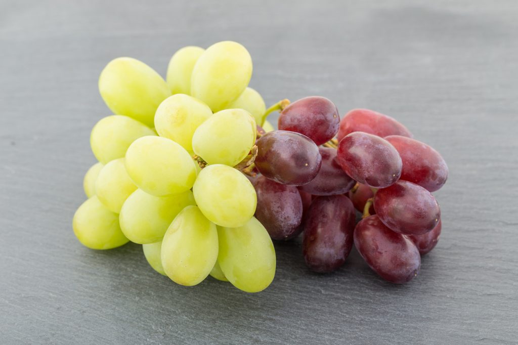 Welche Rebsorten gibt es? – Erste-lage.com